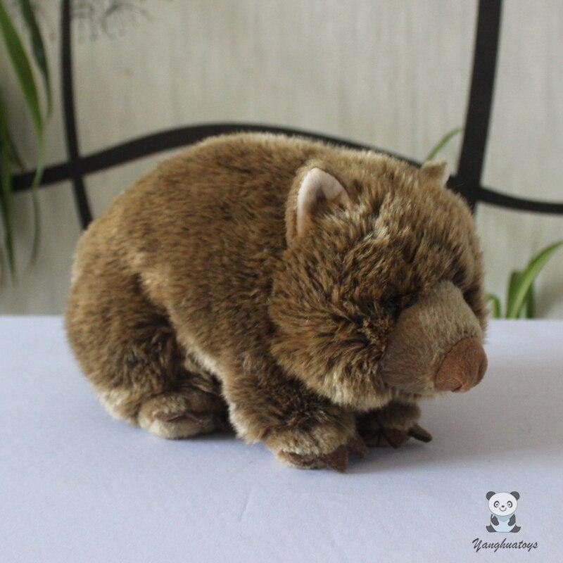 Wombat Plush Toy – Australia Gifts