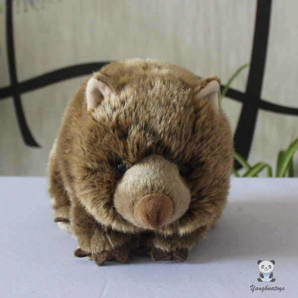 Wombat Plush Toy – Australia Gifts