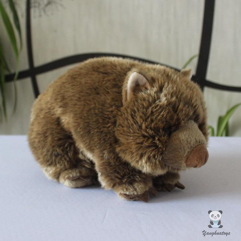 Wombat Plush Toy – Australia Gifts